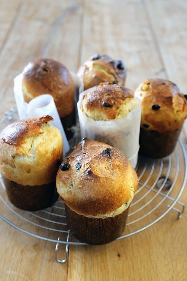 Mini Panettone Recipe - Love cake bake